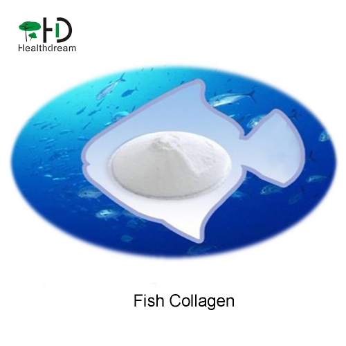 high purity of fish collagen from fish skin